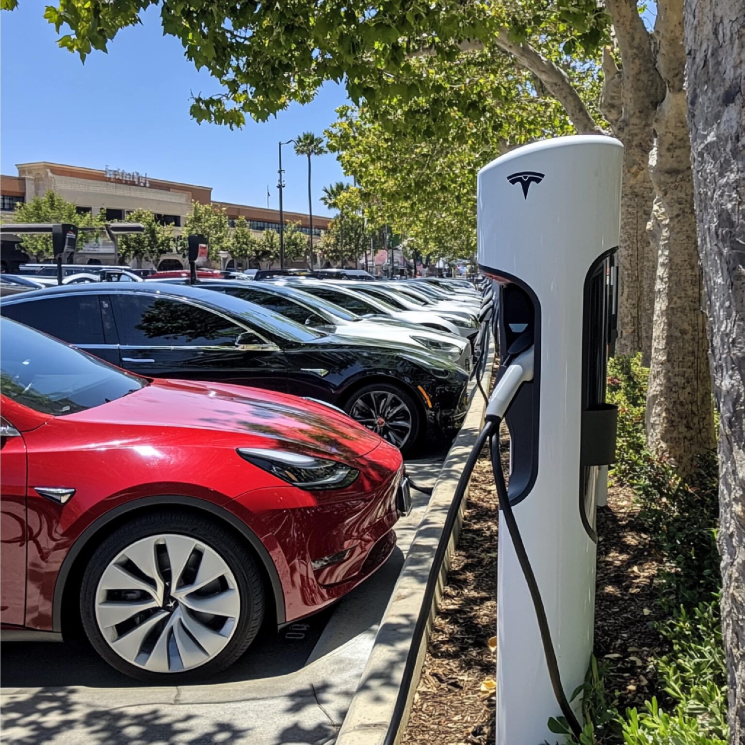 Compact EVs for City Driving: Which One Should You Buy? - EV India Blog